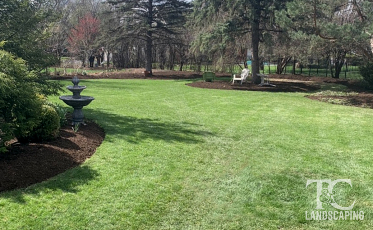 Landscape Services - TC Landscaping
